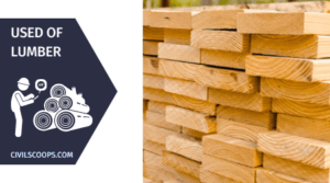 What Is Timber ? | What Is Lumber ? | What Is Lumber Used for ...