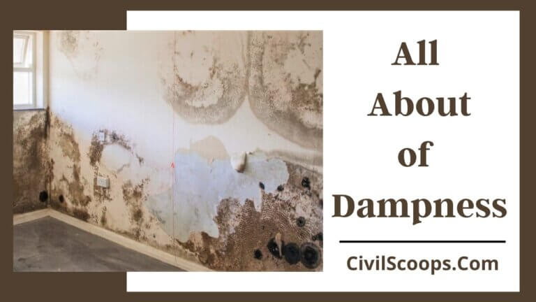What Is Dampness | Causes of Dampness | Effects of Dampness | Damp ...