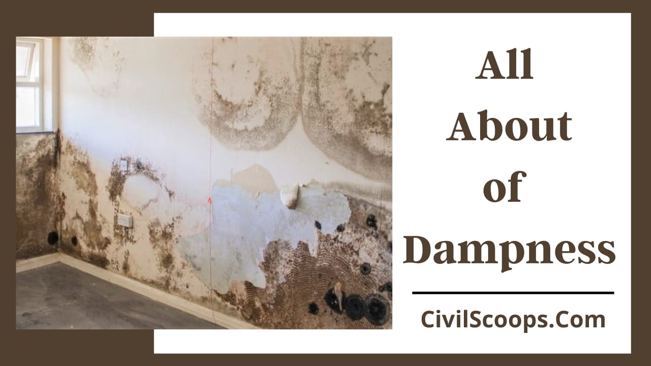 What Is Dampness | Causes of Dampness | Effects of Dampness | Damp ...