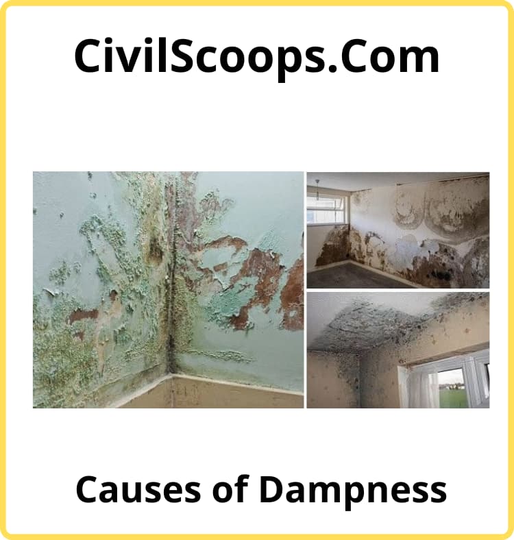 What Is Dampness | Causes of Dampness | Effects of Dampness | Damp ...