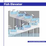All About Fish Ladder | What Is Fish Ladder | Types of Fish Ladder ...