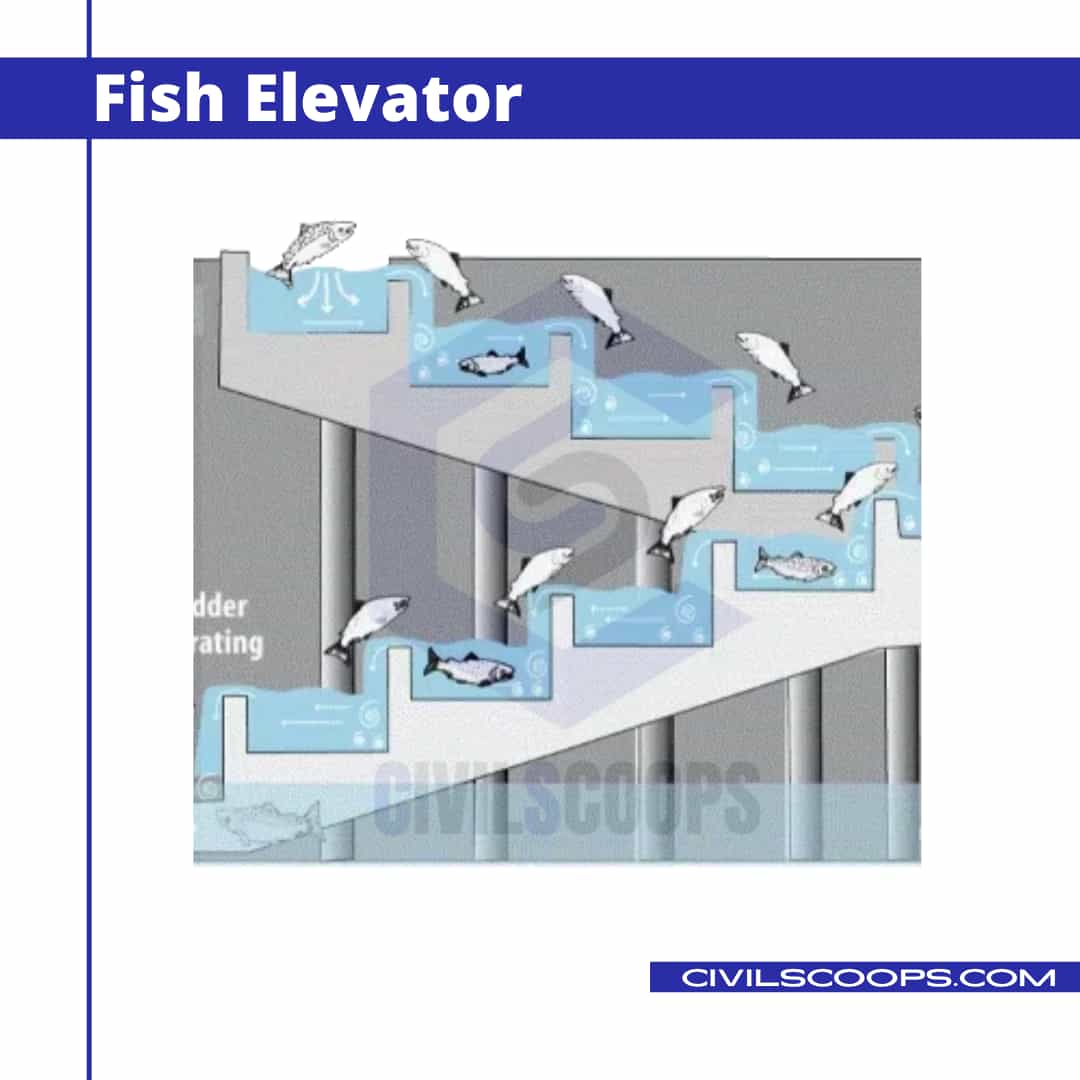 All About Fish Ladder | What Is Fish Ladder | Types of Fish Ladder ...