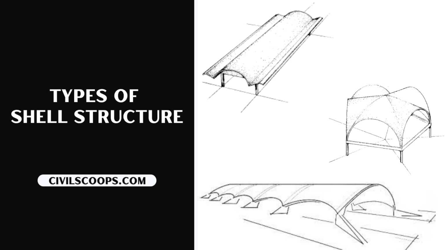What Is Shell Structure | 11 Types of Shell Structure | Applications ... What Is Shell Structure | 11 Types of Shell Structure | Applications ...