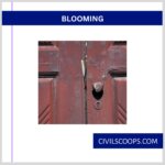 What Are Defects in Painting | 18 Types of Defects in Painting | How to ...