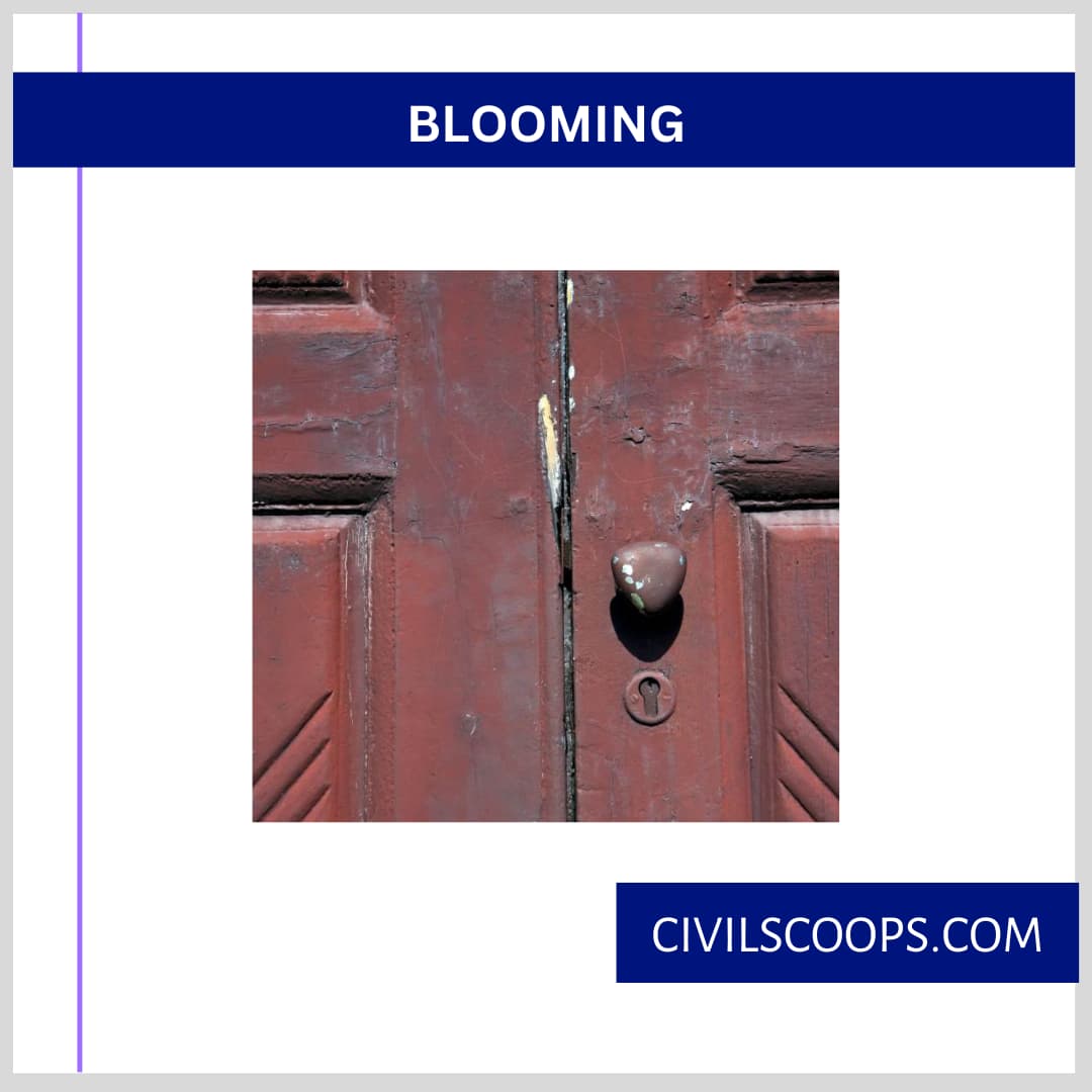 What Are Defects in Painting | 18 Types of Defects in Painting | How to ...