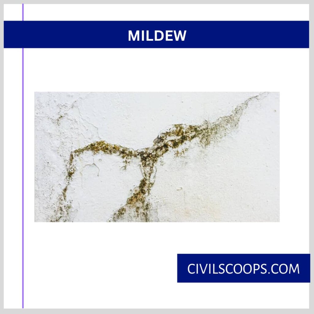 What Are Defects in Painting | 18 Types of Defects in Painting | How to ...